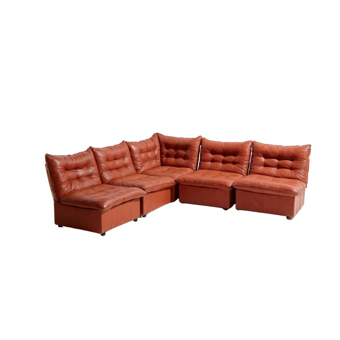 MODULAR LEATHER SOFA SET, SET OF 5 – 모이아띠